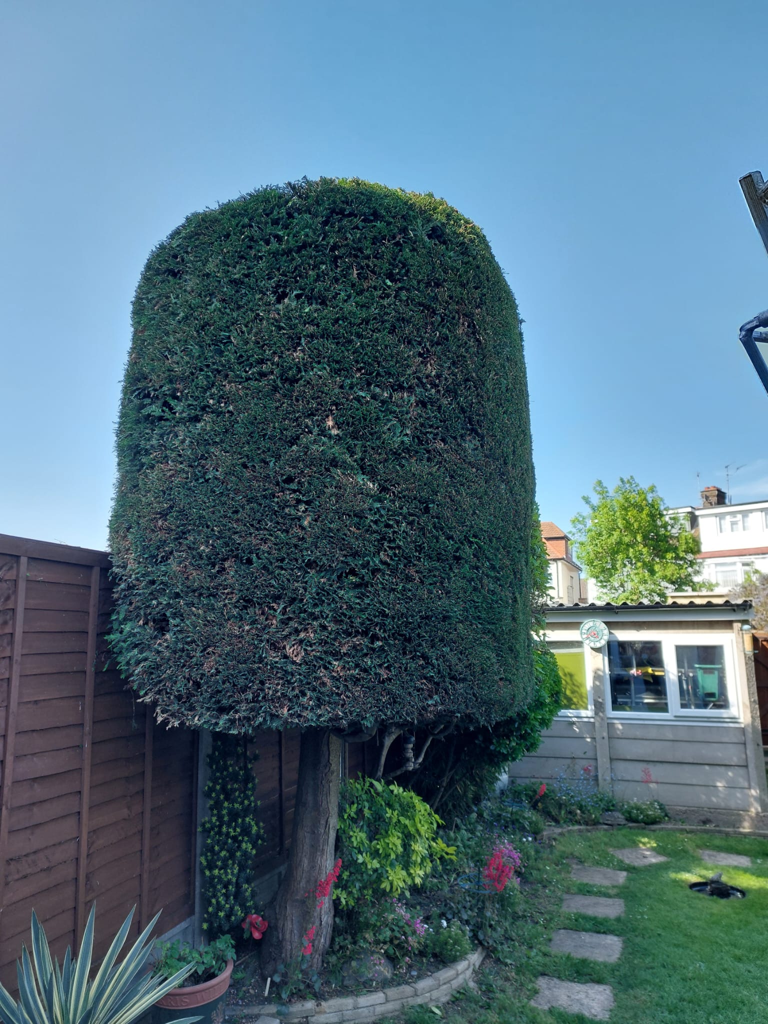 Gallery - Gardner's Trees